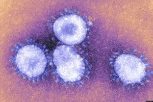 What You Need to Know About the MERS Virus - Scoop Empire
