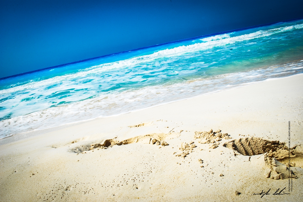 8 Things We Won't Miss from Sahel Season - Scoop Empire