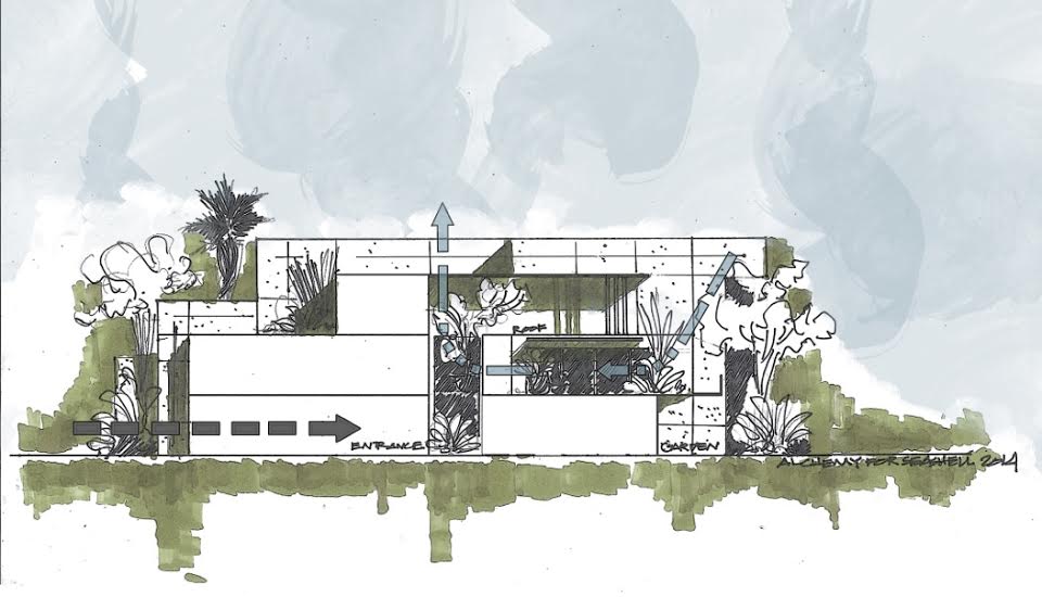 Seashell North Coast: Nature-Inspired Design - Scoop Empire