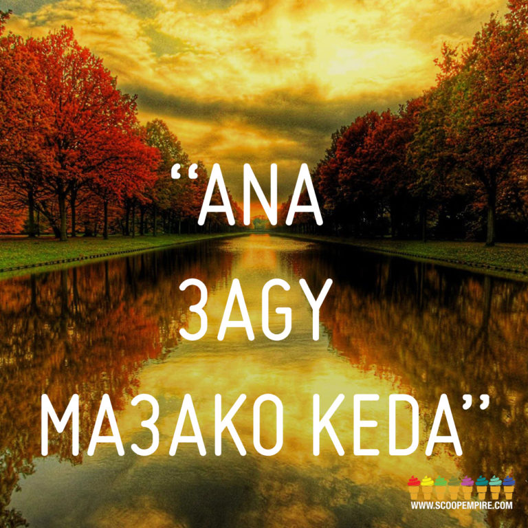 If El-Lemby Quotes Were Motivational Posters - Scoop Empire