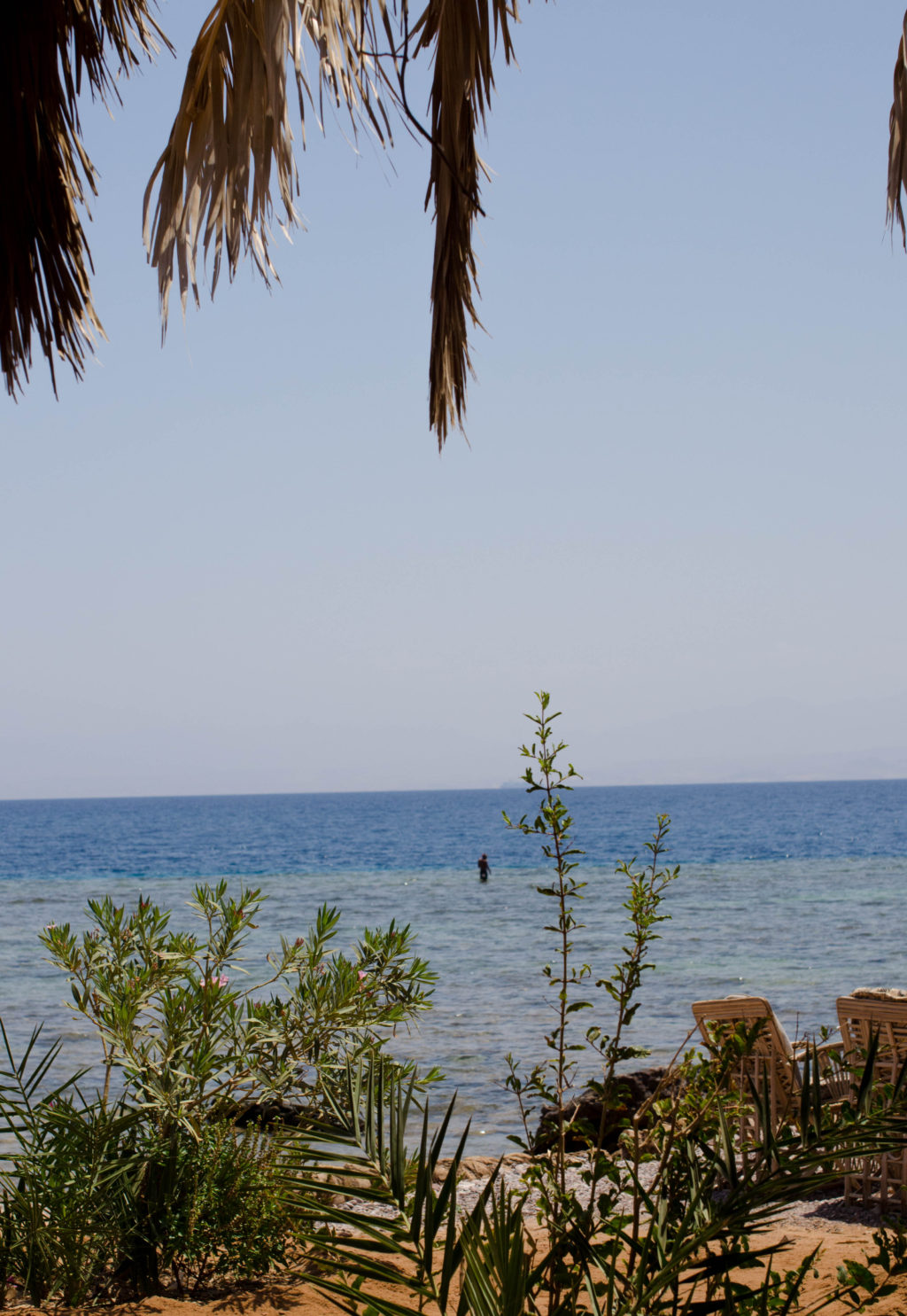 12 Relaxing Pictures of Ras Shitan That Will Give You Peace of Mind ...