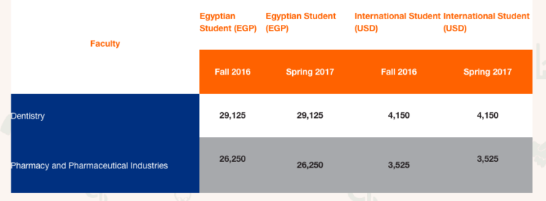 Egypt's Private Universities Tuition Fees for 2017-2018 Will Make You ...
