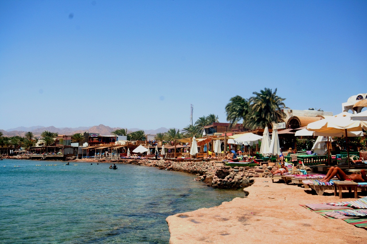 How Dahab Became Egypt's Most Pet-Friendly Town - Scoop Empire