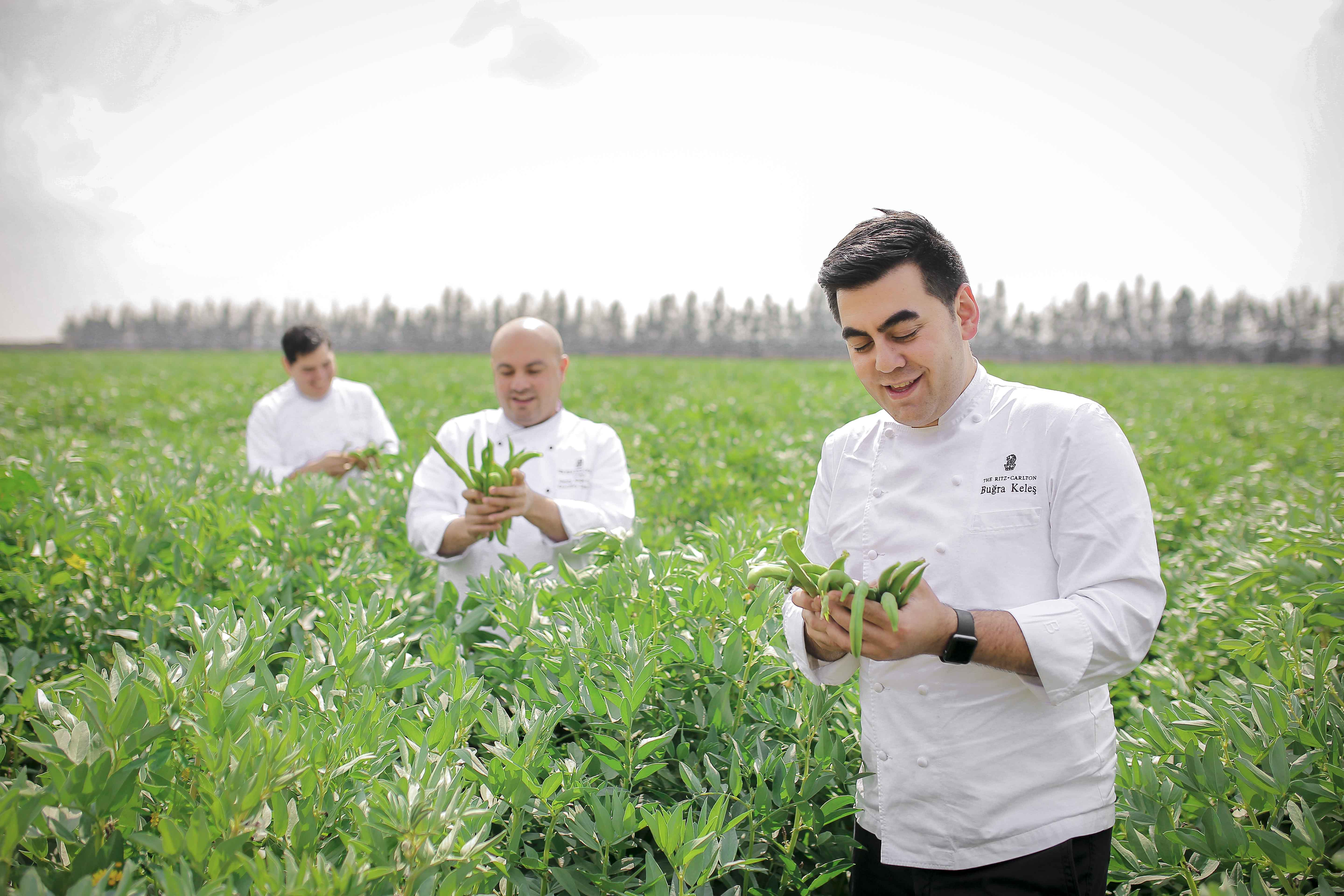 Listen up, Foodies, The Good Life 2019 Is Just Around the Corner ...