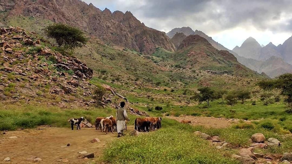 In Pictures: Gabal Elba, One of Egypt's Best Kept Secrets - Scoop Empire