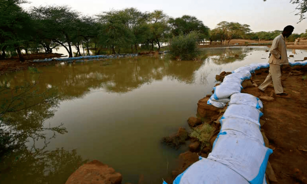 Cairo Residents, Here’s Why the Color of the Nile Has Been Brown Lately ...