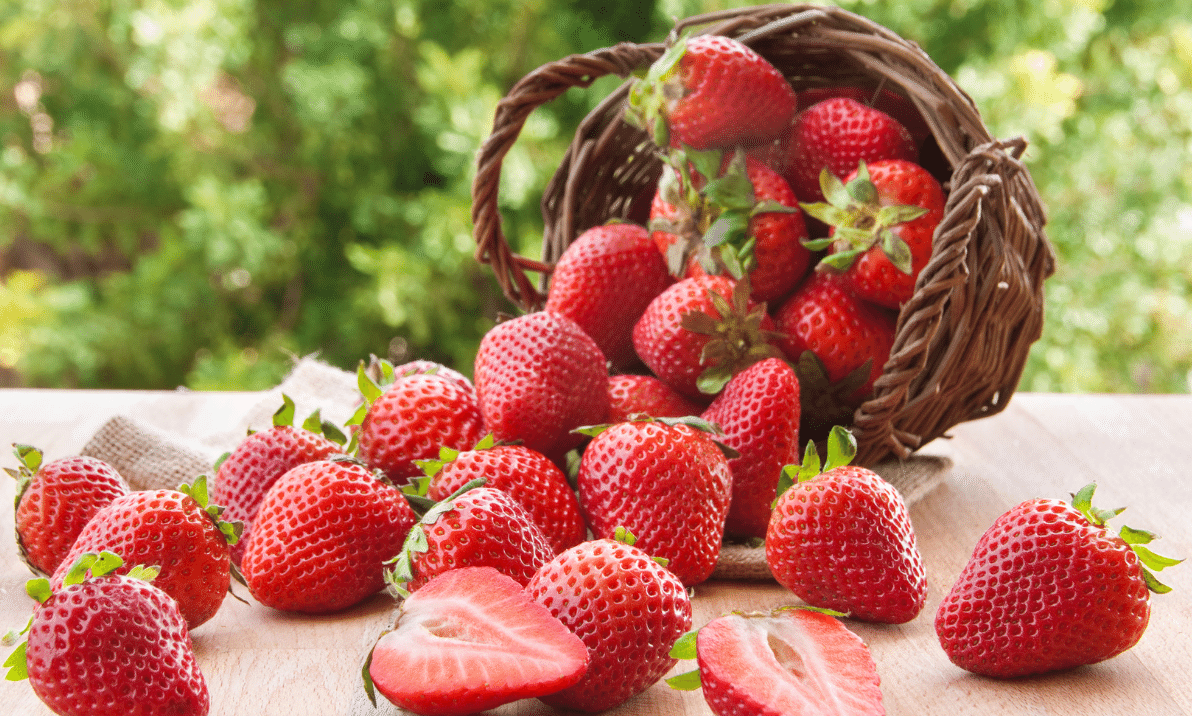 It's Strawberry Season! Here Are 10 Delicious Christmas Recipes to Help ...