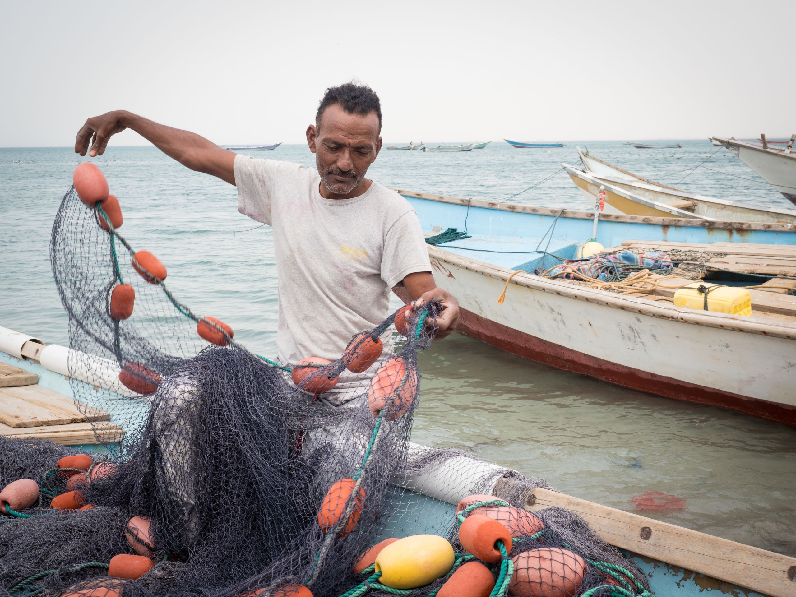 In Pictures: Treasuring Yemen’s Incredible Fisheries Sector - Scoop Empire