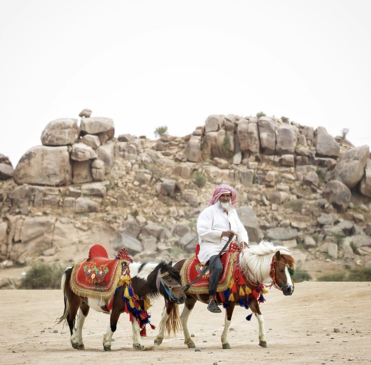 The Three Arab Photographers You Should Be Following; Meet Canon's ...