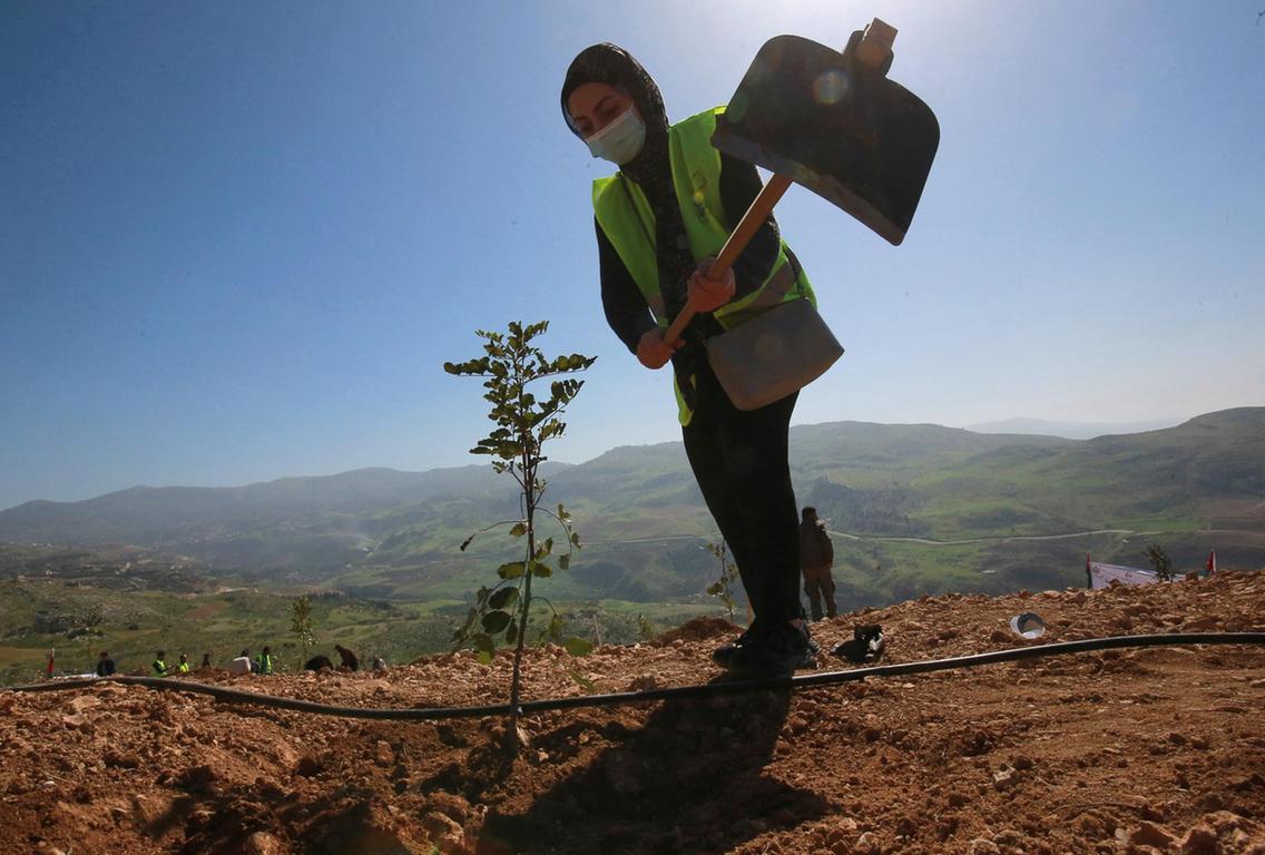 Jordan's Green Initiative: Planting 10 million Trees In 10 Years ...