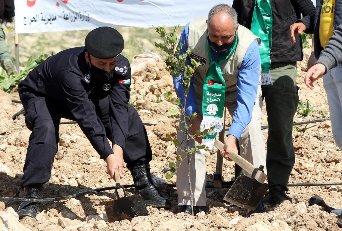 Jordan's Green Initiative: Planting 10 million Trees In 10 Years ...
