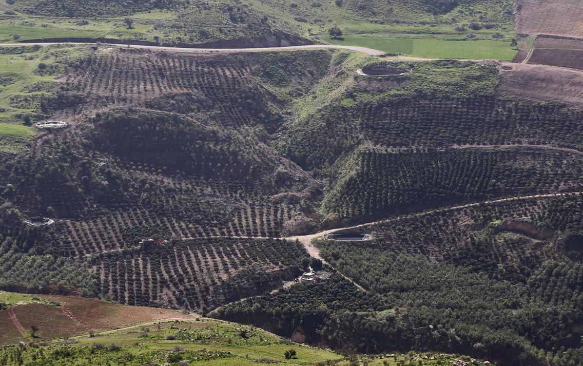 Jordan's Green Initiative: Planting 10 million Trees In 10 Years ...