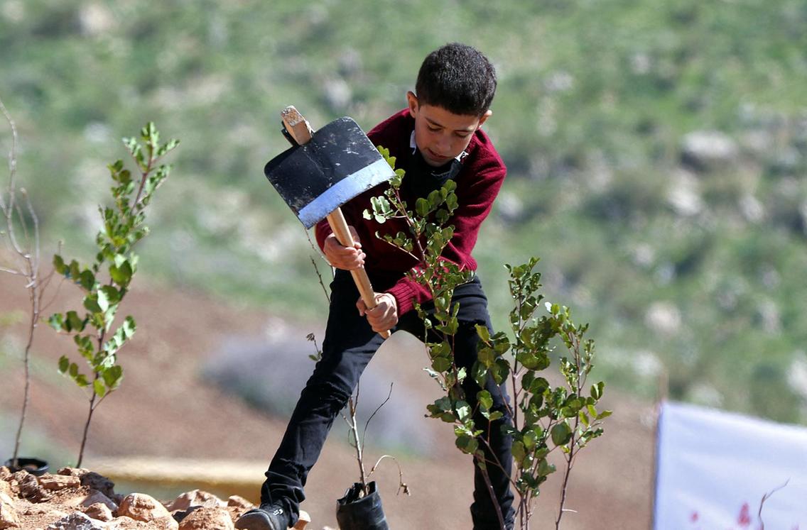 Jordan's Green Initiative: Planting 10 million Trees In 10 Years ...