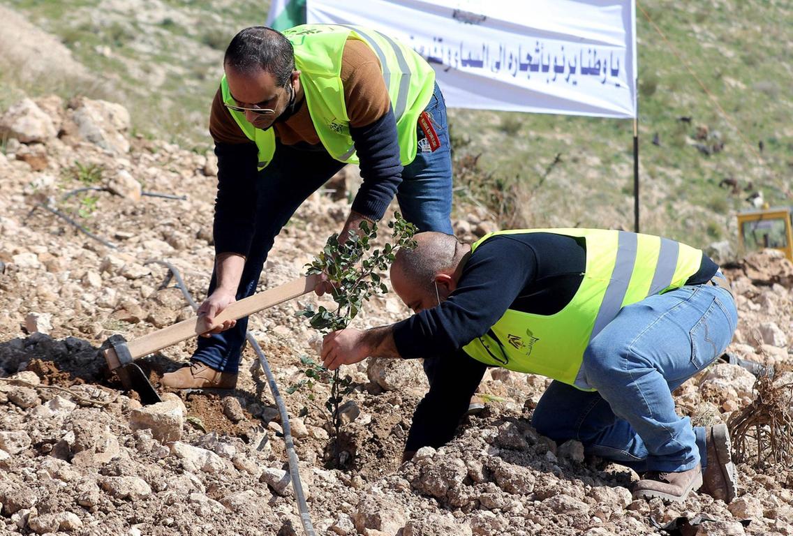 Jordan's Green Initiative: Planting 10 million Trees In 10 Years ...