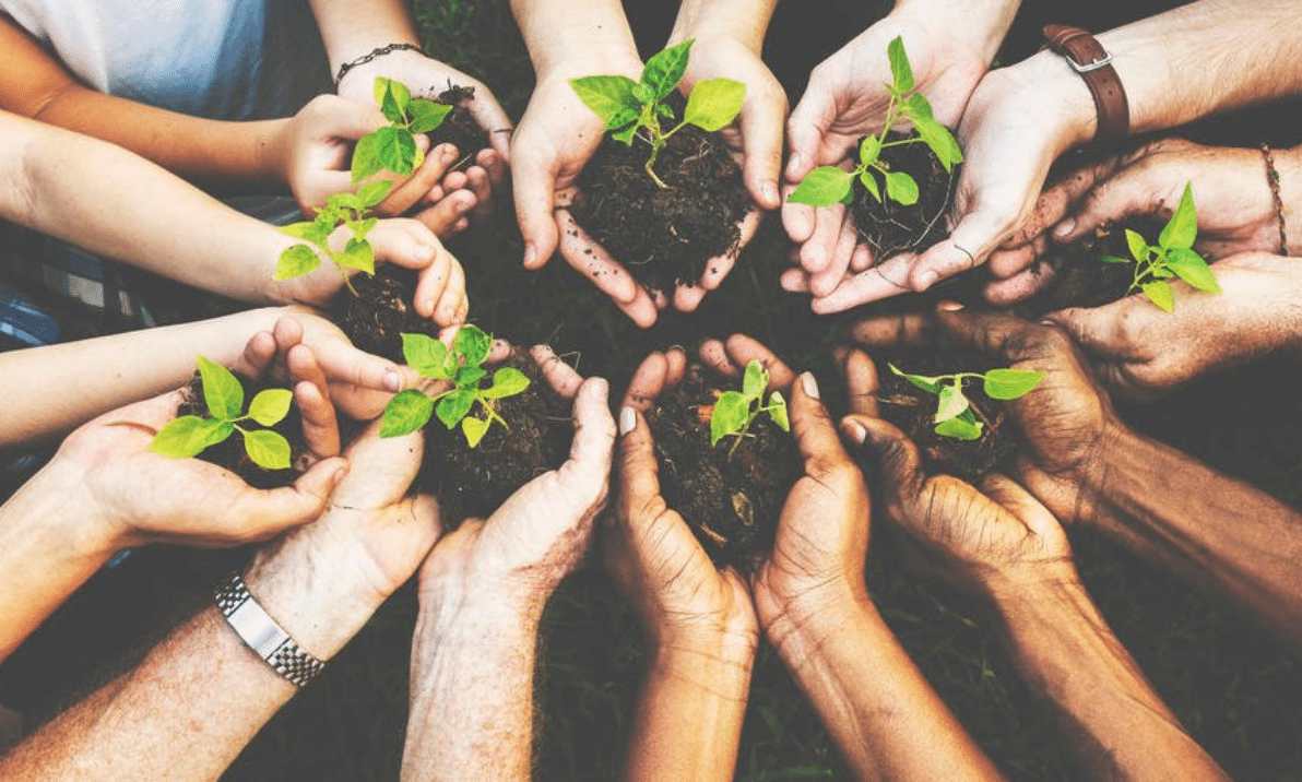 Combating Carbon Emissions: The Middle East Undertakes the Largest ...