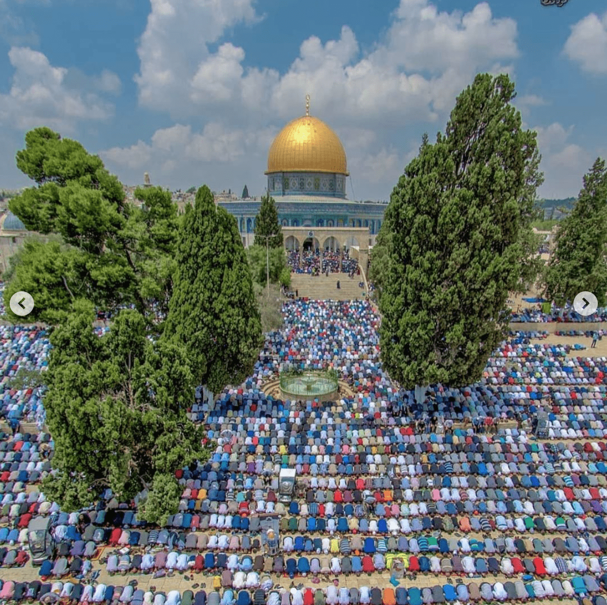 8 Artists Supporting Palestine Through Their Art - Scoop Empire