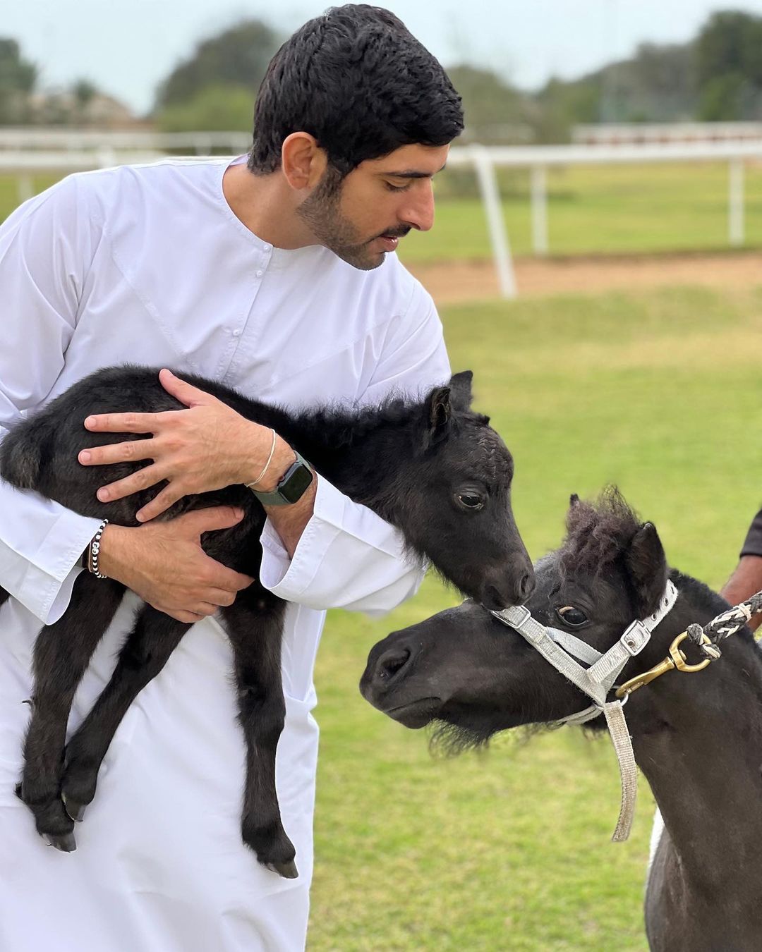 Animal Rescuer and Lover, Sheikh Hamdan Saves and Adopts a Dog in ...