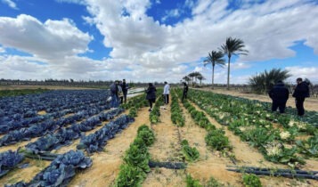 36 Photos to Remind You How Beautiful Syria Is - Scoop Empire