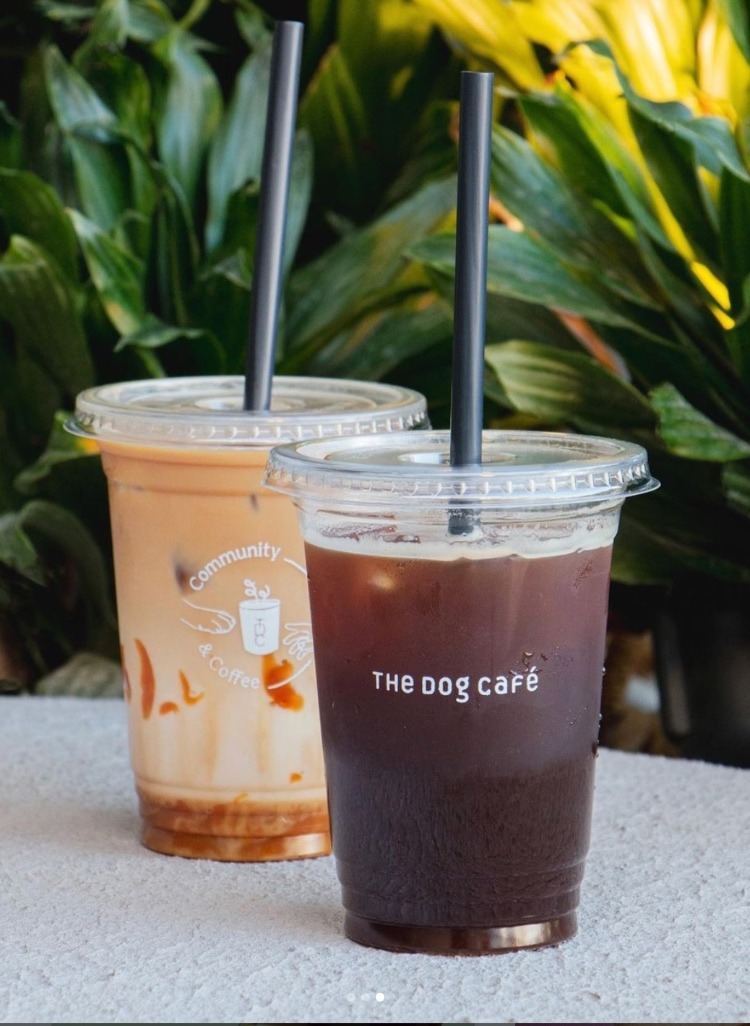 Cairo Gets Its First Dog Café And It's Absolutely Adorable - Scoop Empire