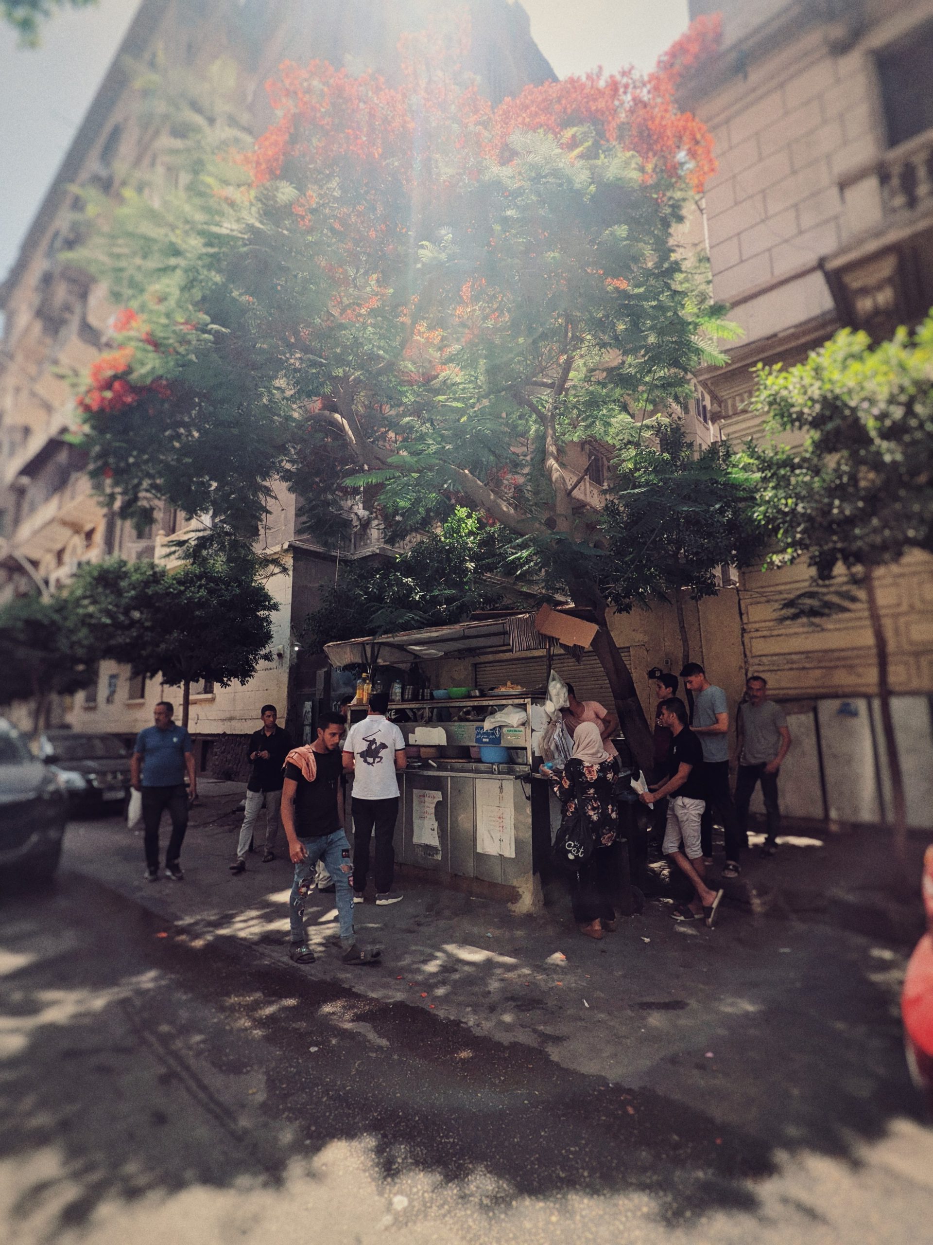 A Taste of Downtown Cairo's Best Foul & Ta'amiya Spots for ...