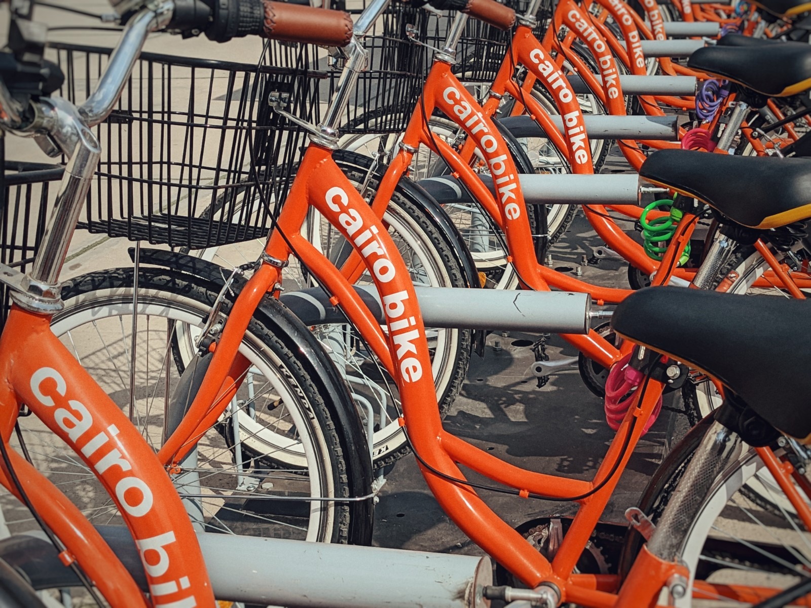 Cairo Gears Up To Launch Country's First Major Bike-Sharing System ...