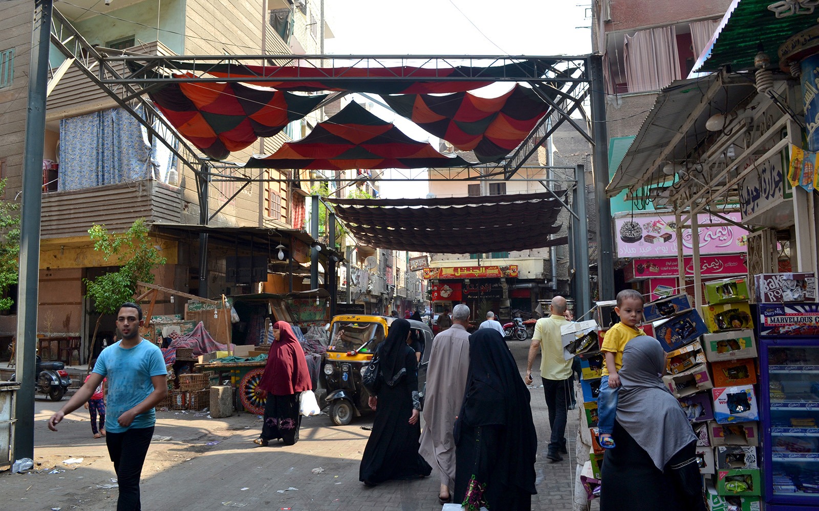 What Will Green Cities in the Arab World Look Like? A Conversation with ...