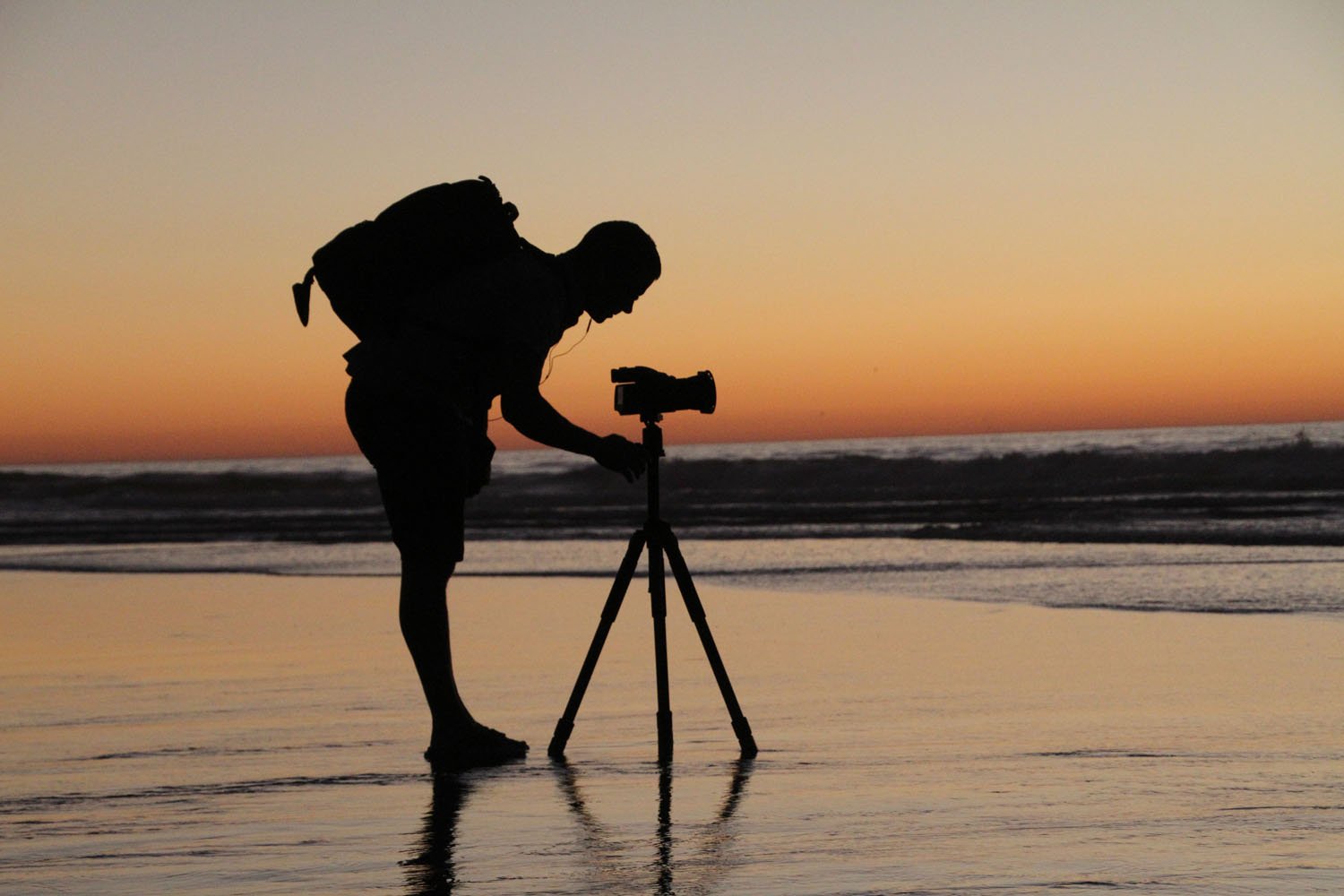 Expand Your Horizons This Summer With These Exciting Courses - Scoop Empire