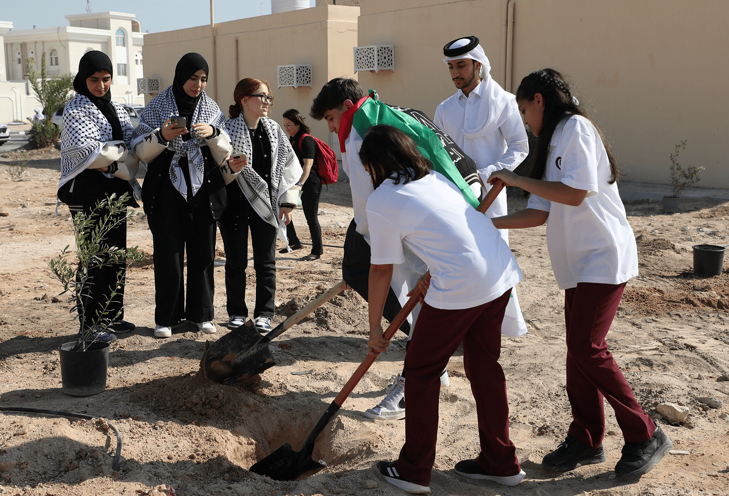 Qatari Students Take On A Green Thumb Initiative Planting Olive Trees ...