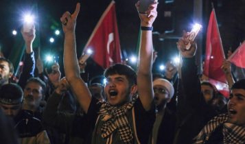 The Roots of Cairo; All About the Banyan Tree That Became A Zamalek ...