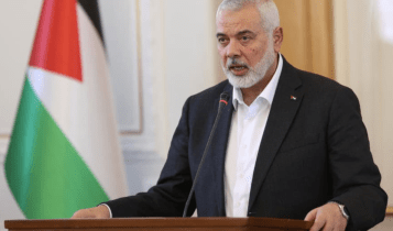 The Roots of Cairo; All About the Banyan Tree That Became A Zamalek ...