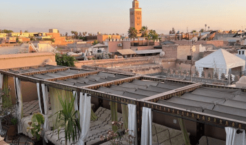 A Beginner's Guide to Arabic Hand Gestures - Scoop Empire