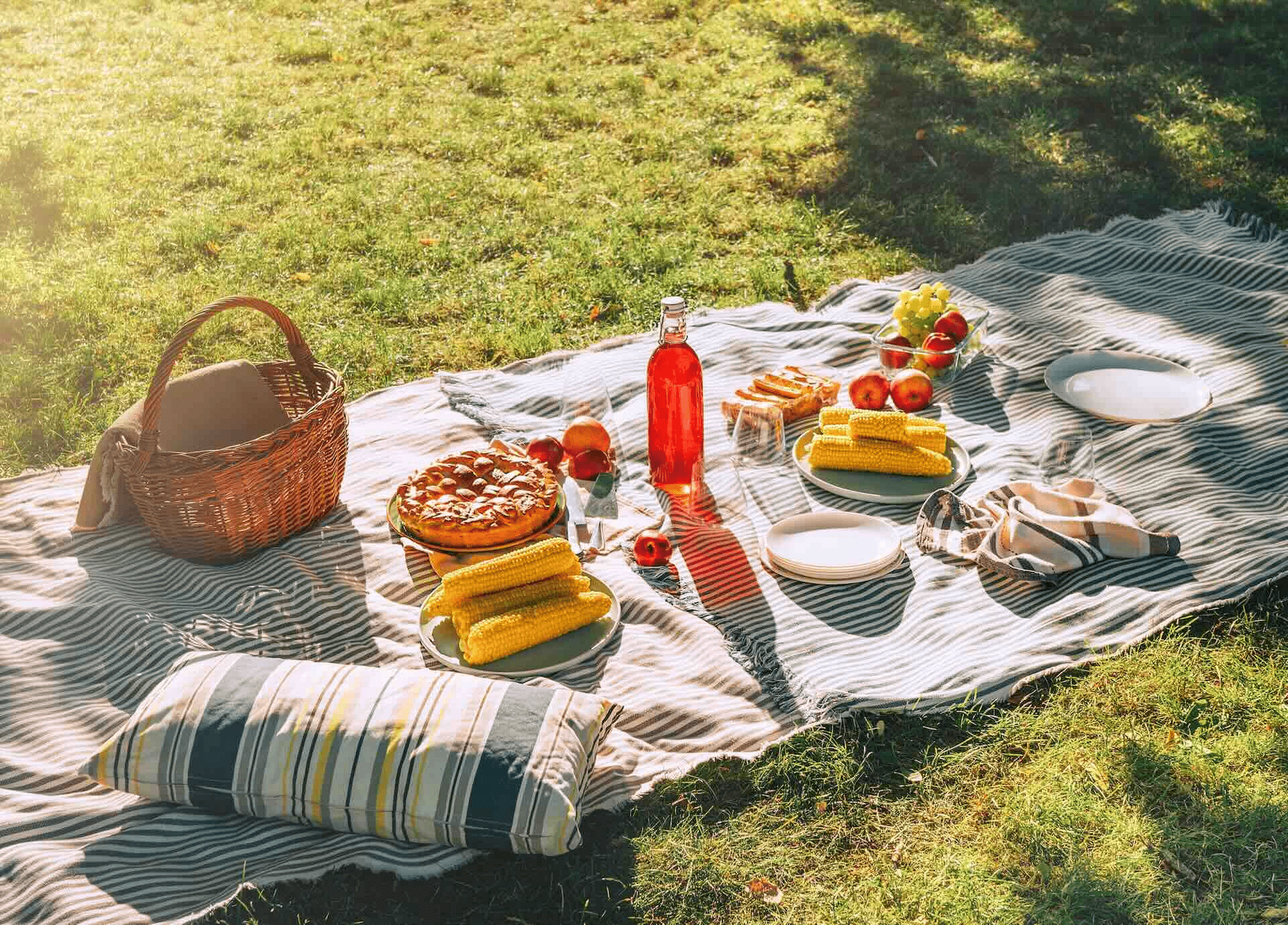 Smell the Breeze, Taste the Feseekh: Family-Friendly Activities for ...