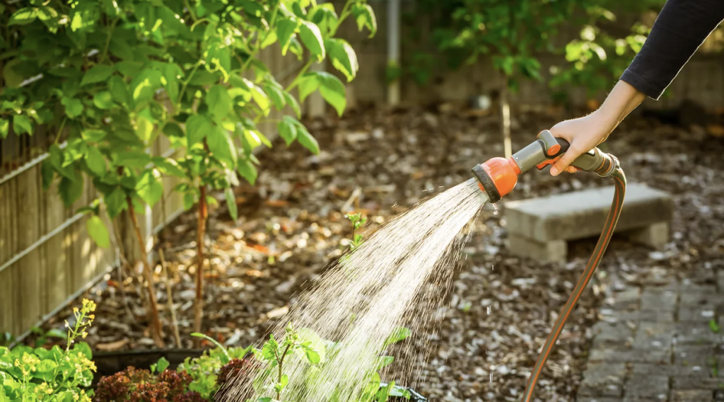 Why Growing Your Own Food Has Become Something of an Urban Status ...